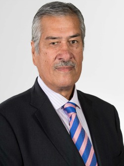 Reseña Biográfica Fernando Meza Moncada - Reseñas biográficas ...